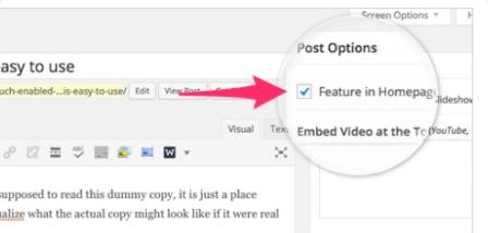 Eclipse Review - Photography Theme - WPZOOM | TRUTH